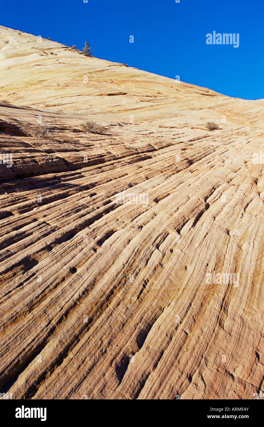 Slickrock, Zion National Park, Utah, United States of America, North ...