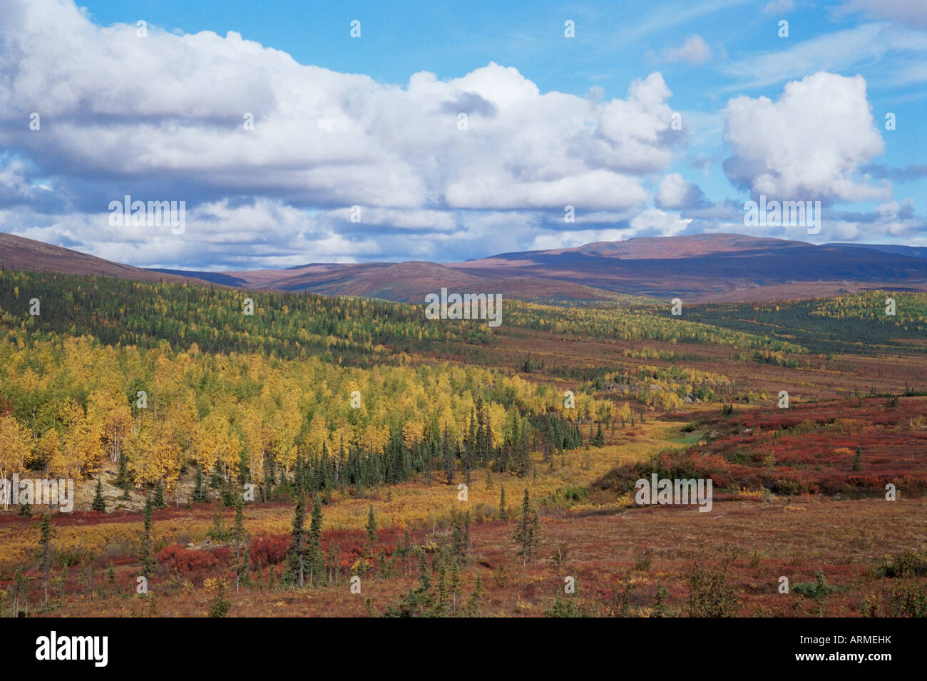 Dalton highway alaska fall hi-res stock photography and images - Alamy