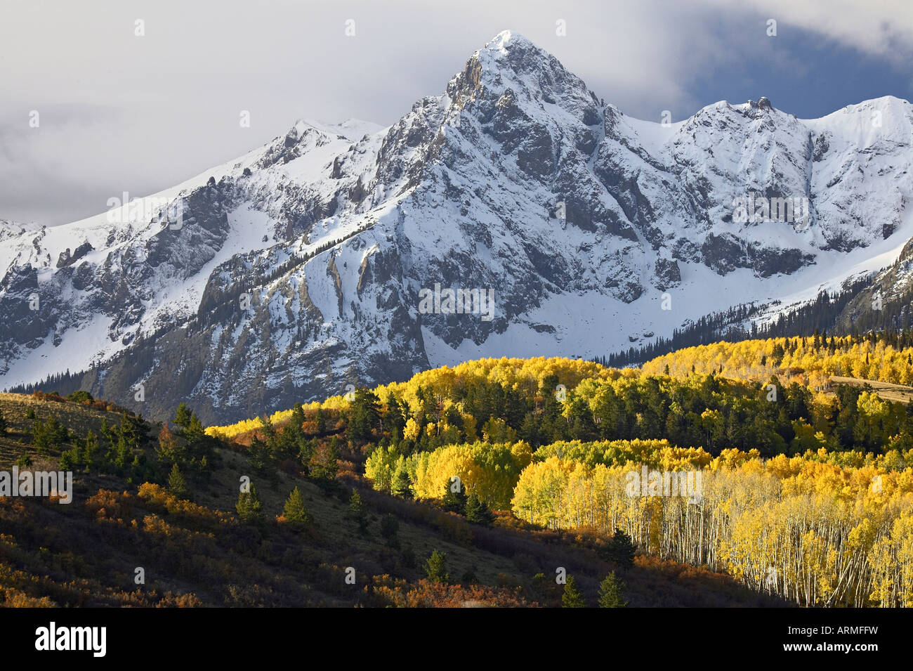 Sneffels Range with aspens in fall colors, near Ouray, Colorado, United ...
