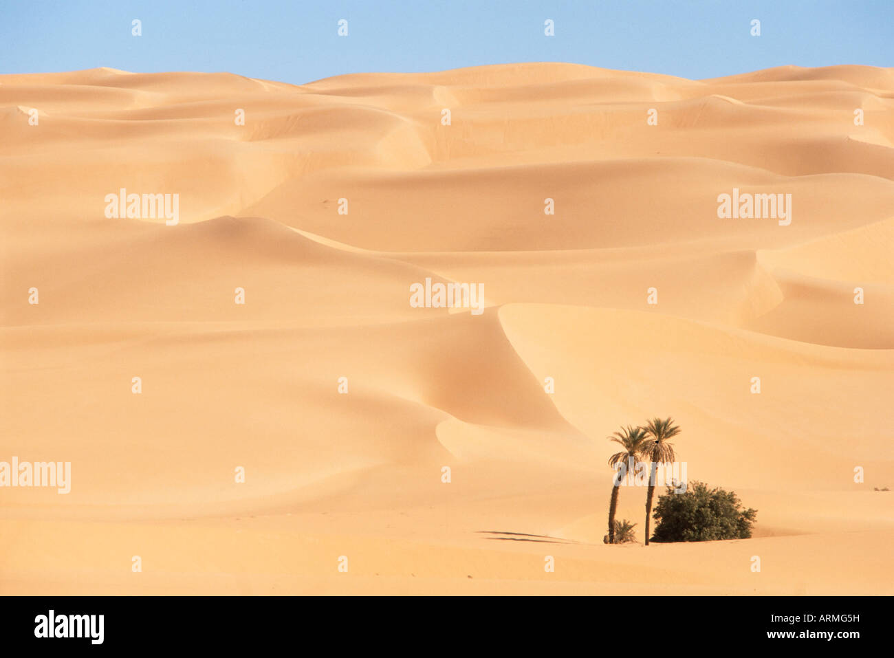 Mandara area hi-res stock photography and images - Alamy