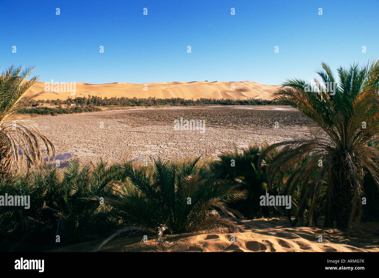 Mandara see hi-res stock photography and images - Alamy