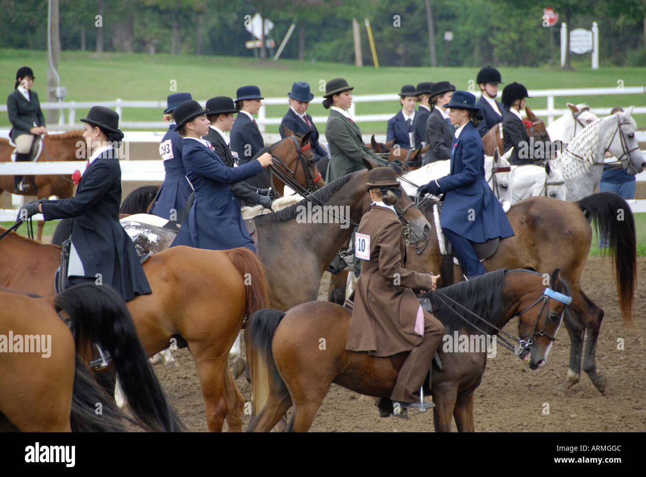 Contestants line up in the center of the ring for judging results as ...