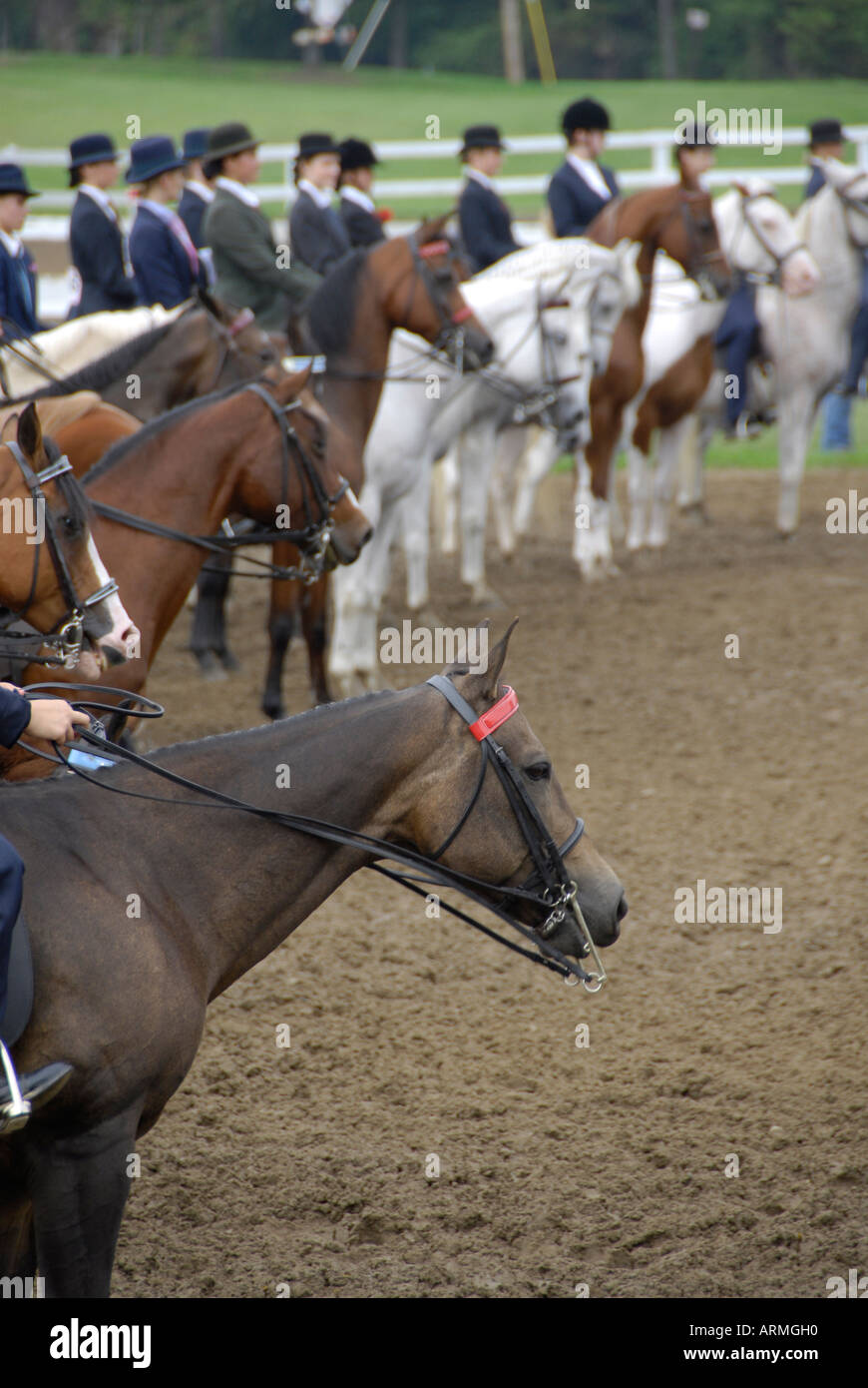 Contestants line up in the center of the ring for judging results as ...