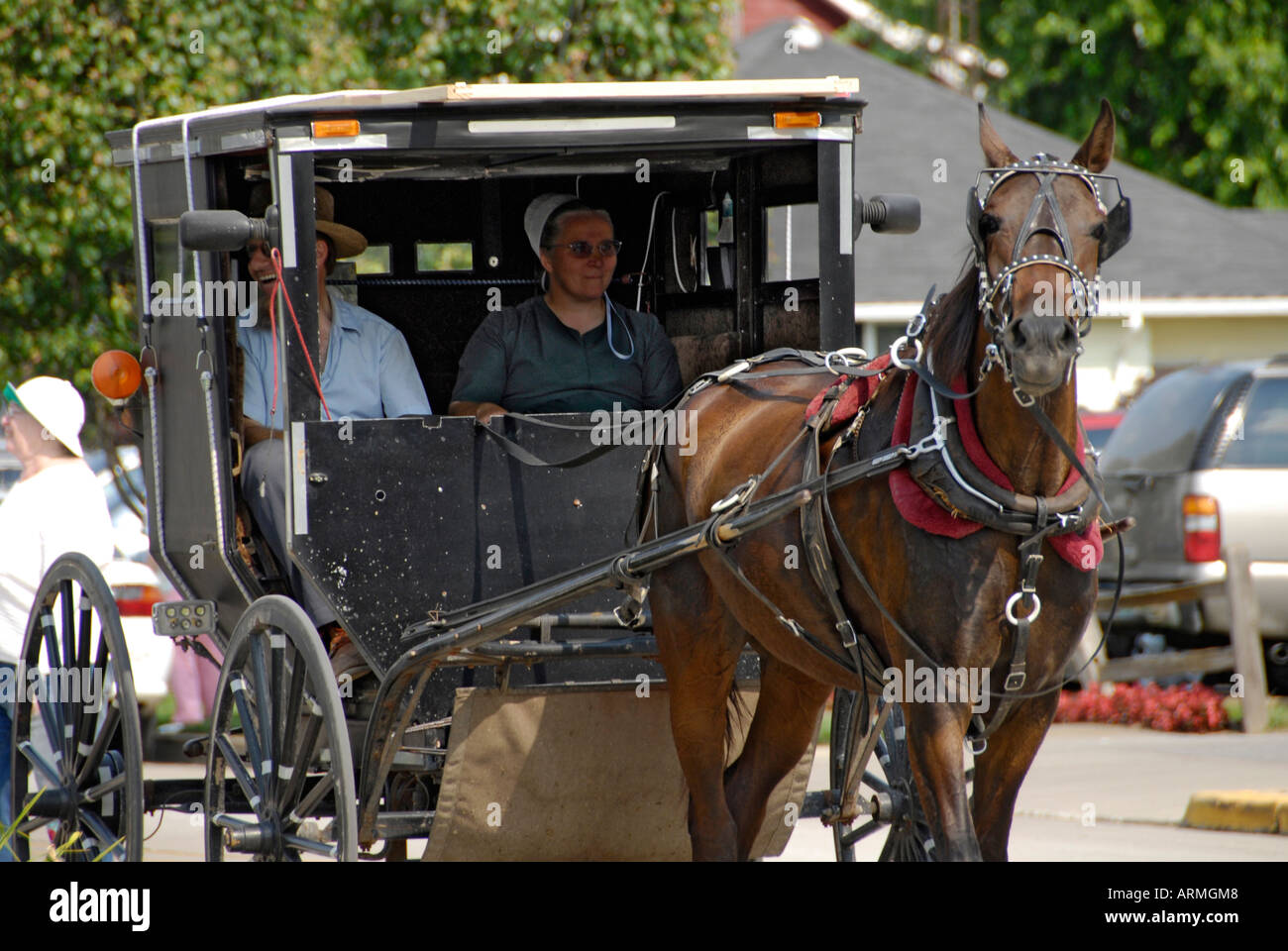 Amish of Michigan located in the farmland near Lexington Michigan Stock ...