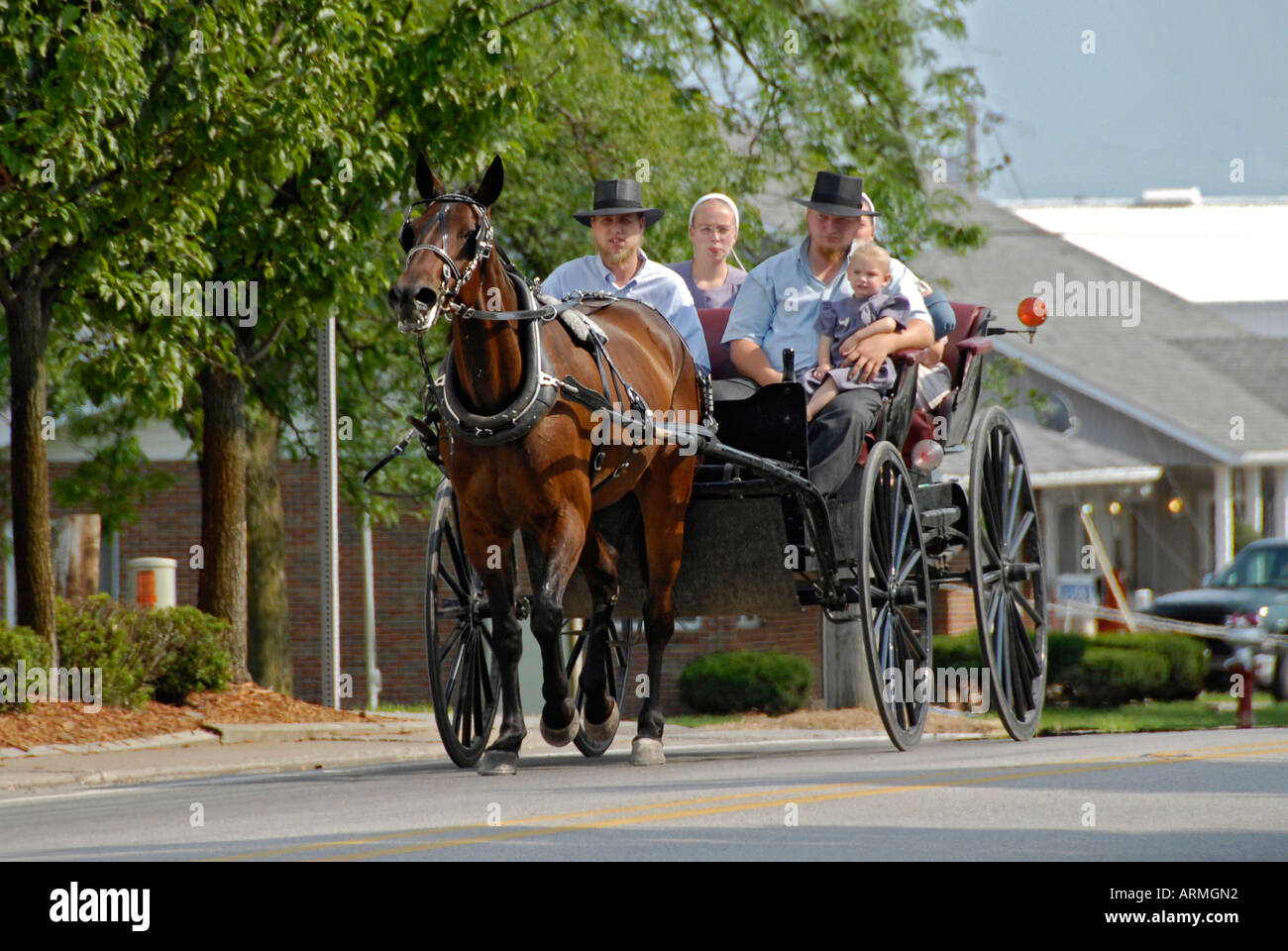 Amish farm in countryside near hi-res stock photography and images - Alamy