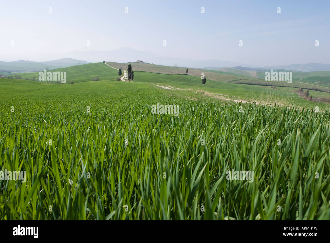 Scenic corn fields hi-res stock photography and images - Alamy
