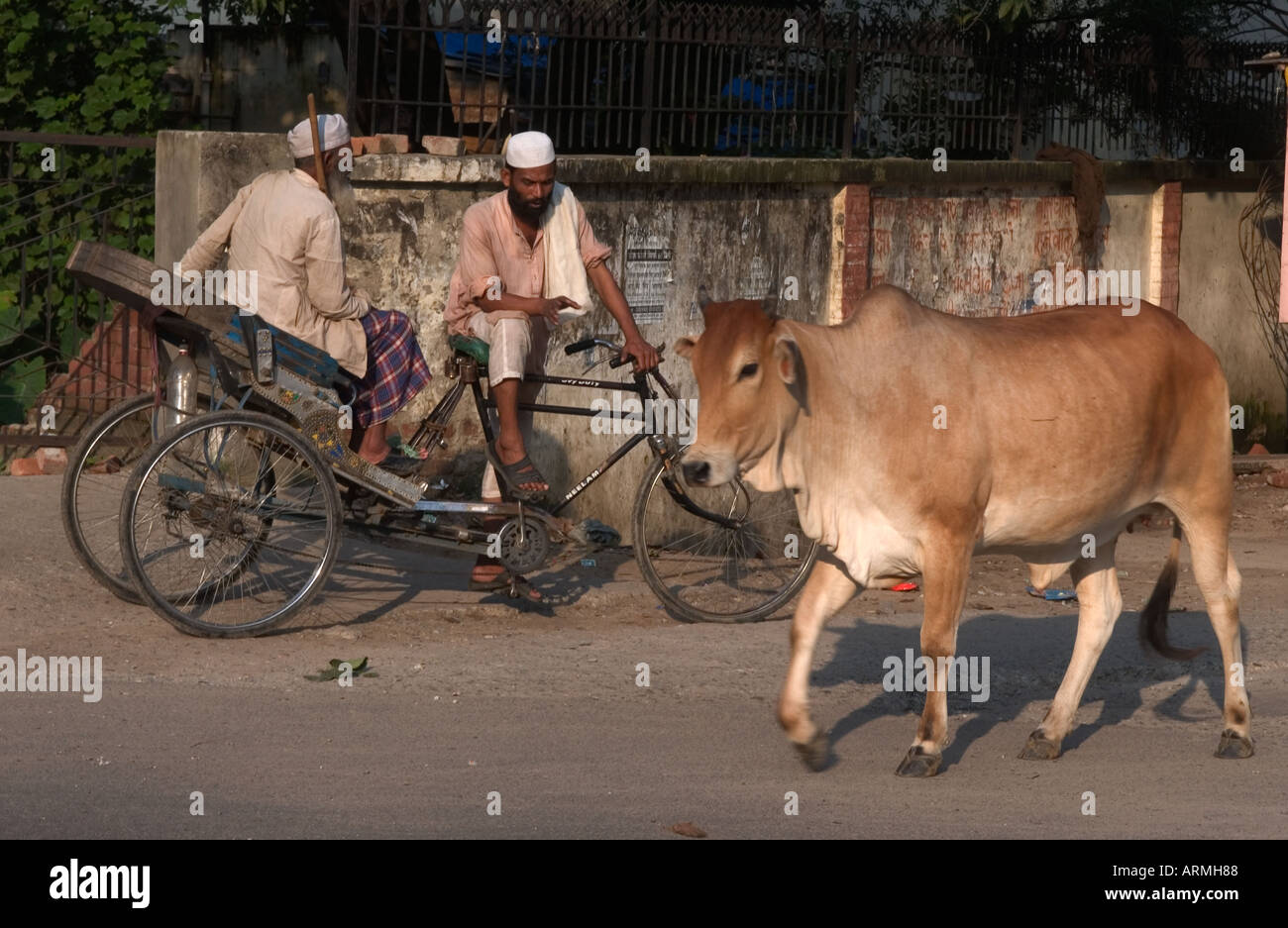 Men on a rickshaw on street in India with cow in foreground Stock Photo ...
