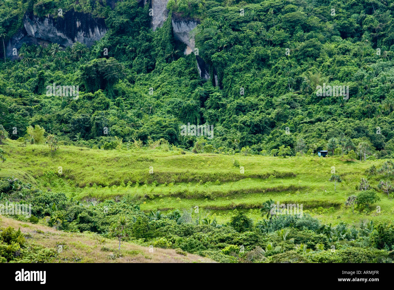 Ancient Aimeliik Terraces Palau Island Stock Photo - Alamy