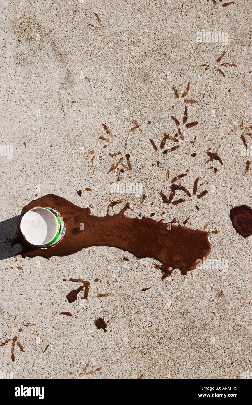Melted chocolate ice cream and pigeon footprints on the sidewalk Stock ...