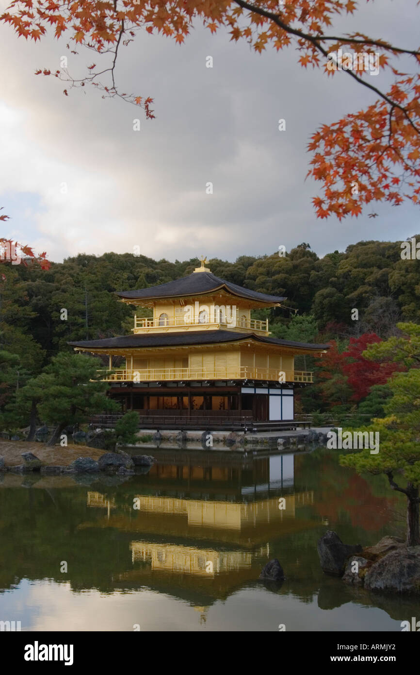 Kinkakuji Temple (Golden Pavilion) framed by the autumn leaves of ...