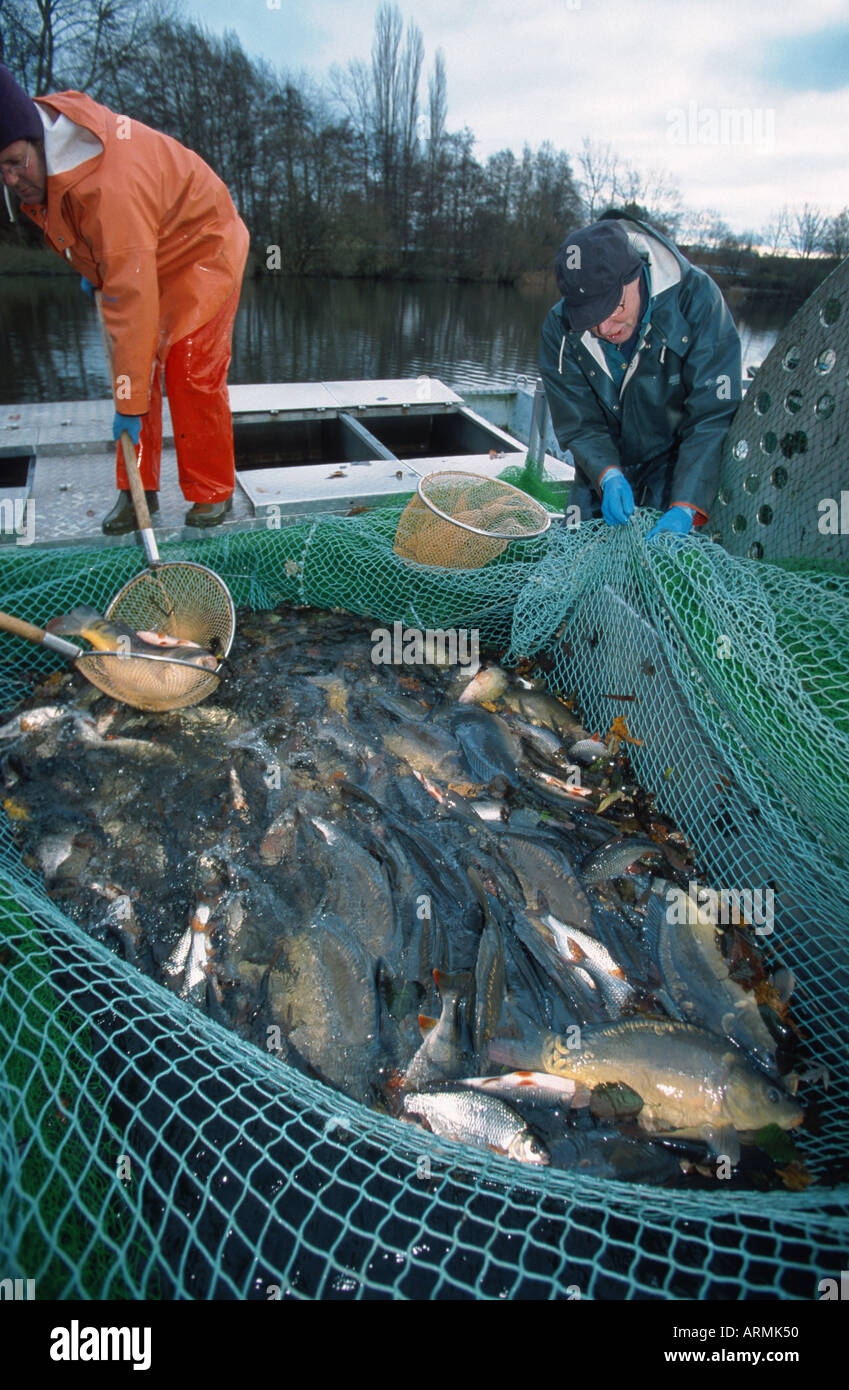 Etc etc etc hi-res stock photography and images - Alamy