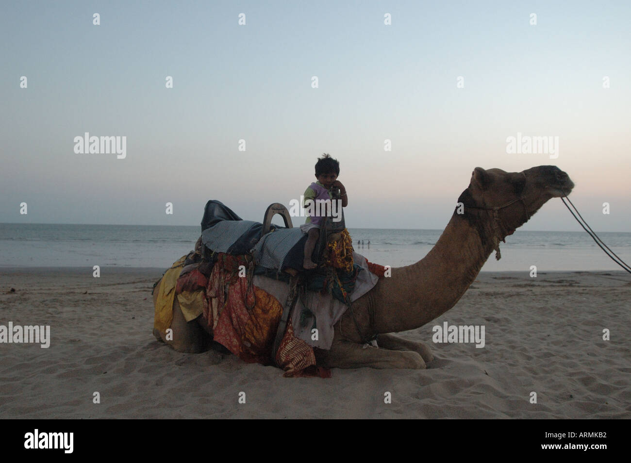 Children and camel rides hi-res stock photography and images - Alamy