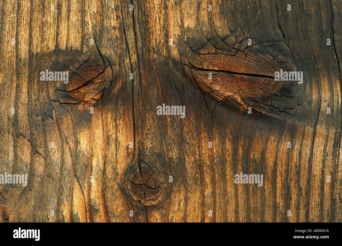 wood grain with face Stock Photo - Alamy