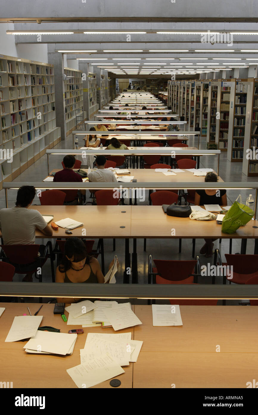 University students studying Stock Photo - Alamy