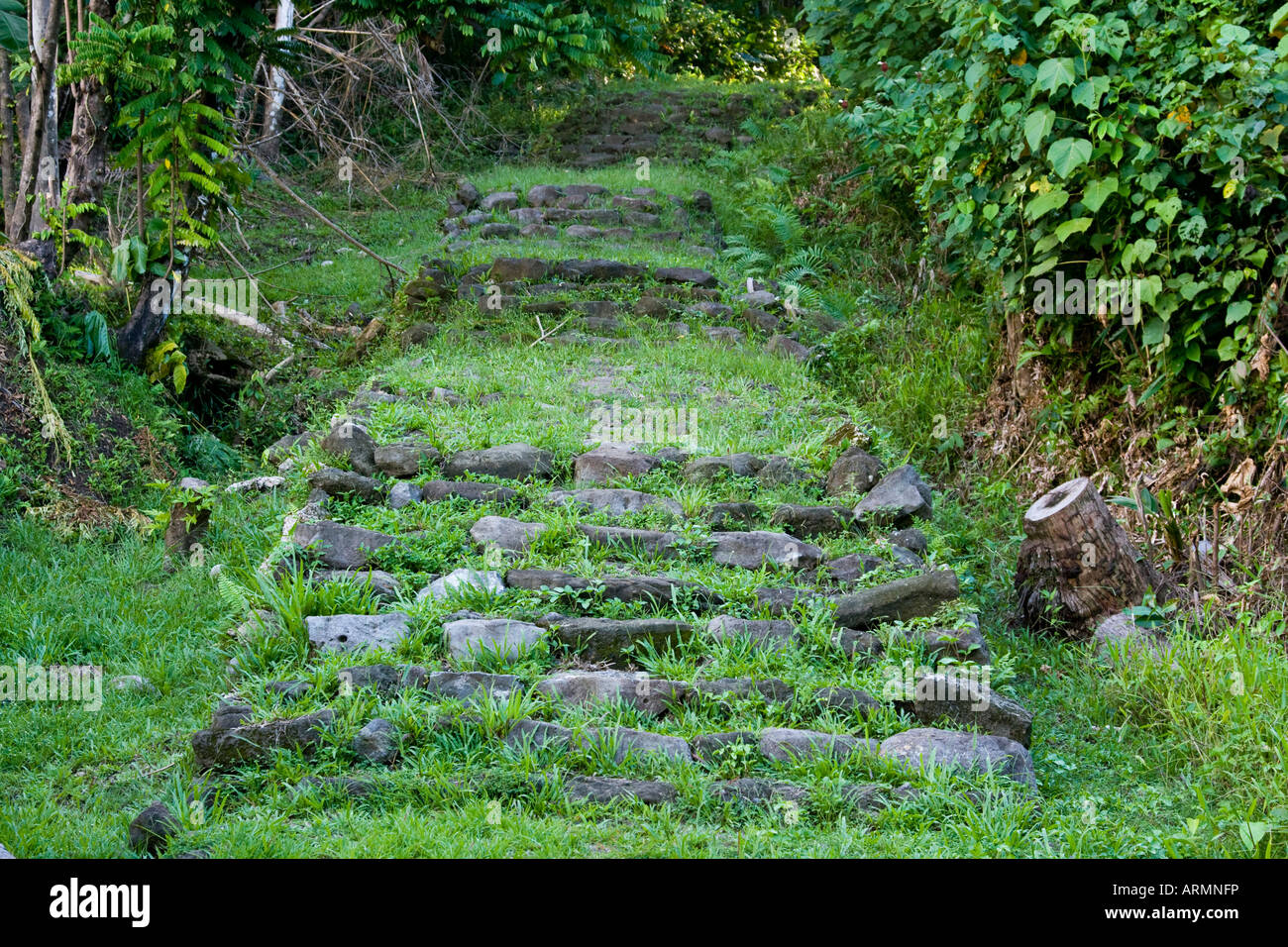 Ancient Stone Walkway Palau Island Stock Photo - Alamy