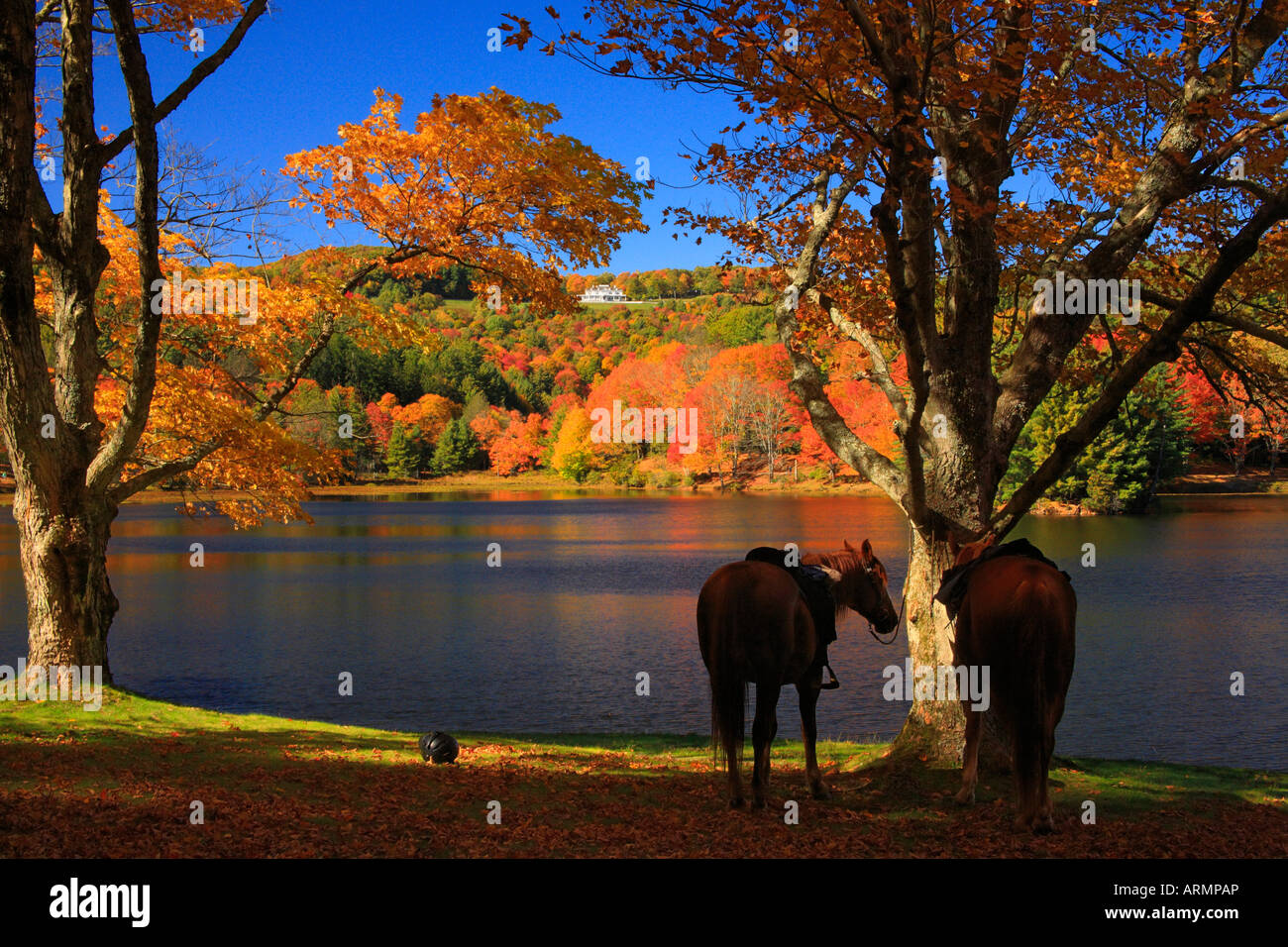 Moses Cone Mansion above Bass Lake, Moses Cone Memorial Park, Blue ...