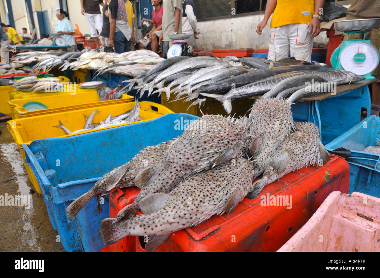 Fish or Wet Market in Kota Kinabulu capital of Sabah Northern Borneo ...