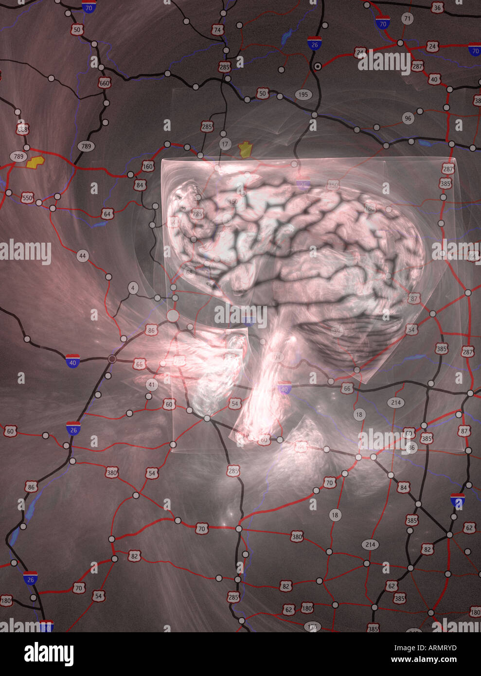 Brain map cortex hi-res stock photography and images - Alamy