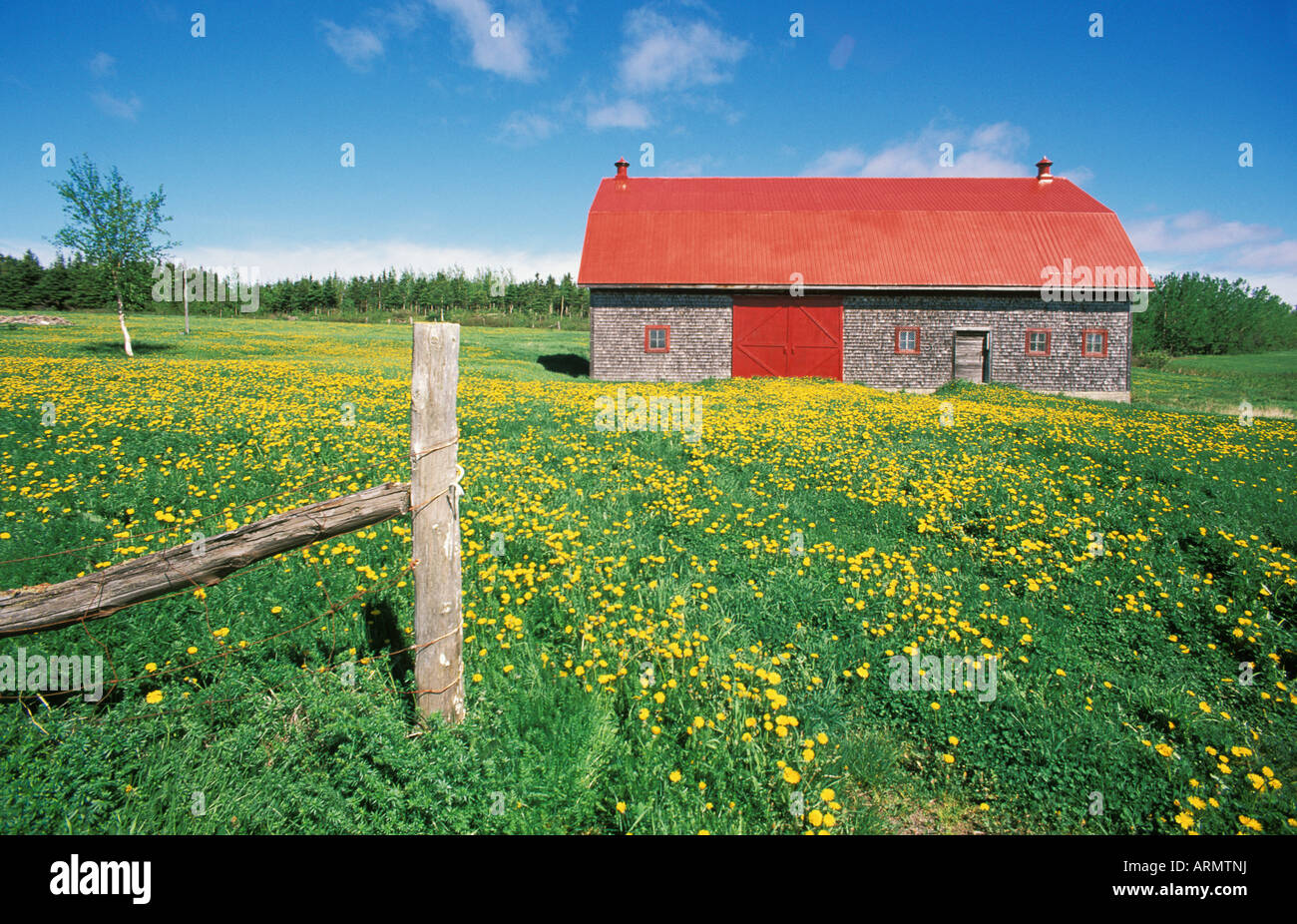 Barns quebec farms agriculture hi-res stock photography and images - Alamy