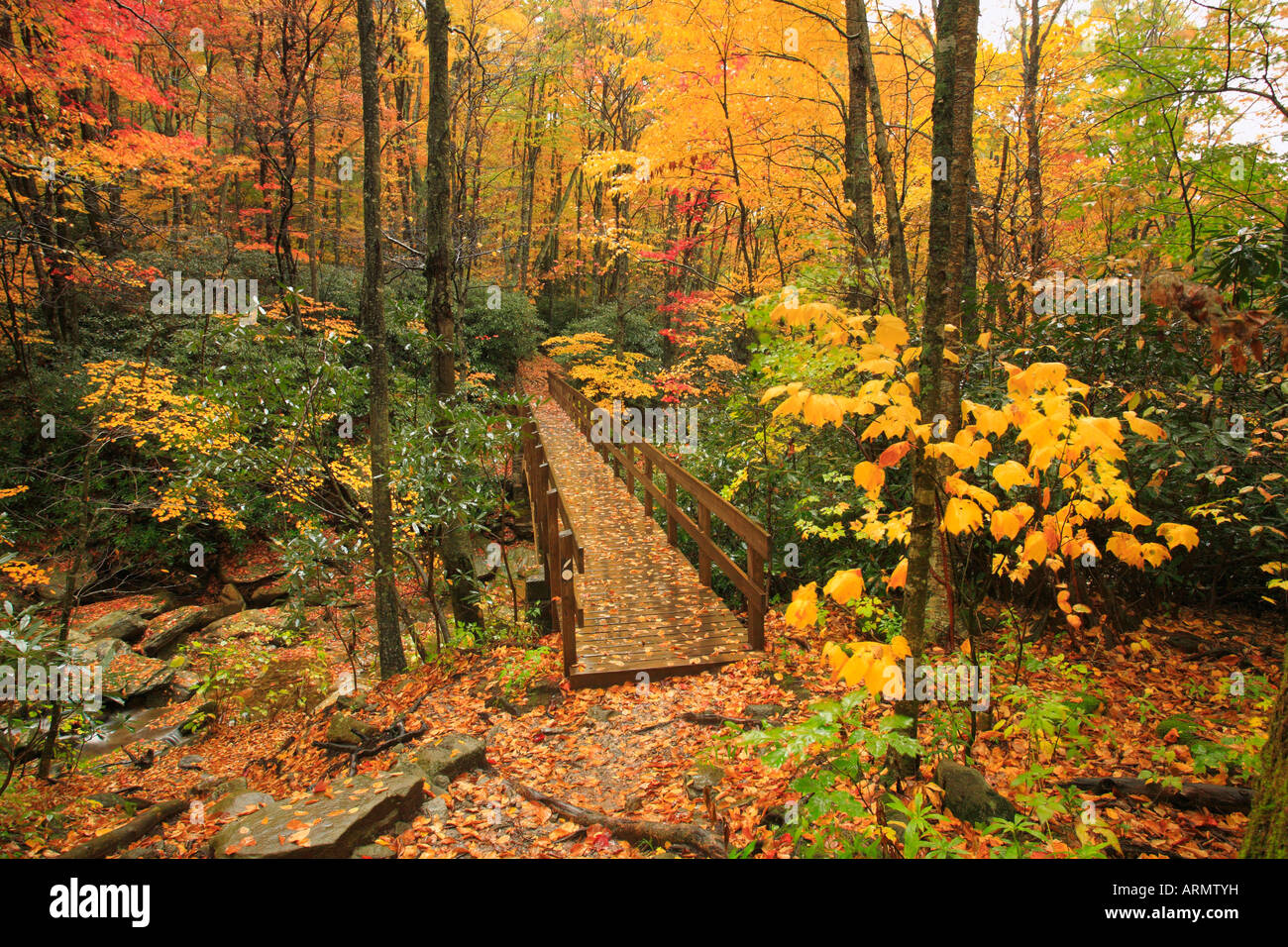 Bridge of Boone Fork, Tanawha Trail, Blue Ridge Parkway, North Carolina ...