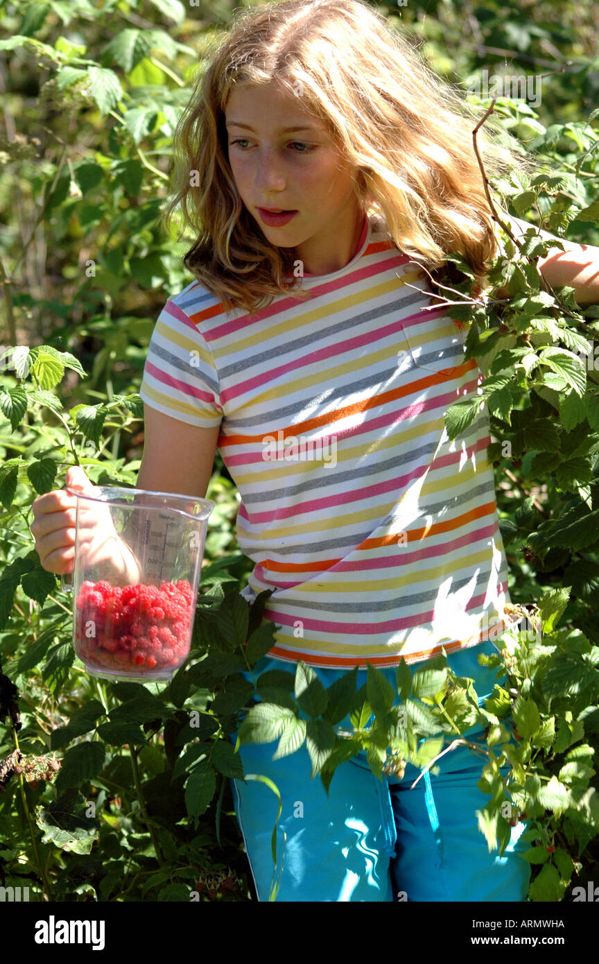 Girl picking berries in the summertime Stock Photo - Alamy