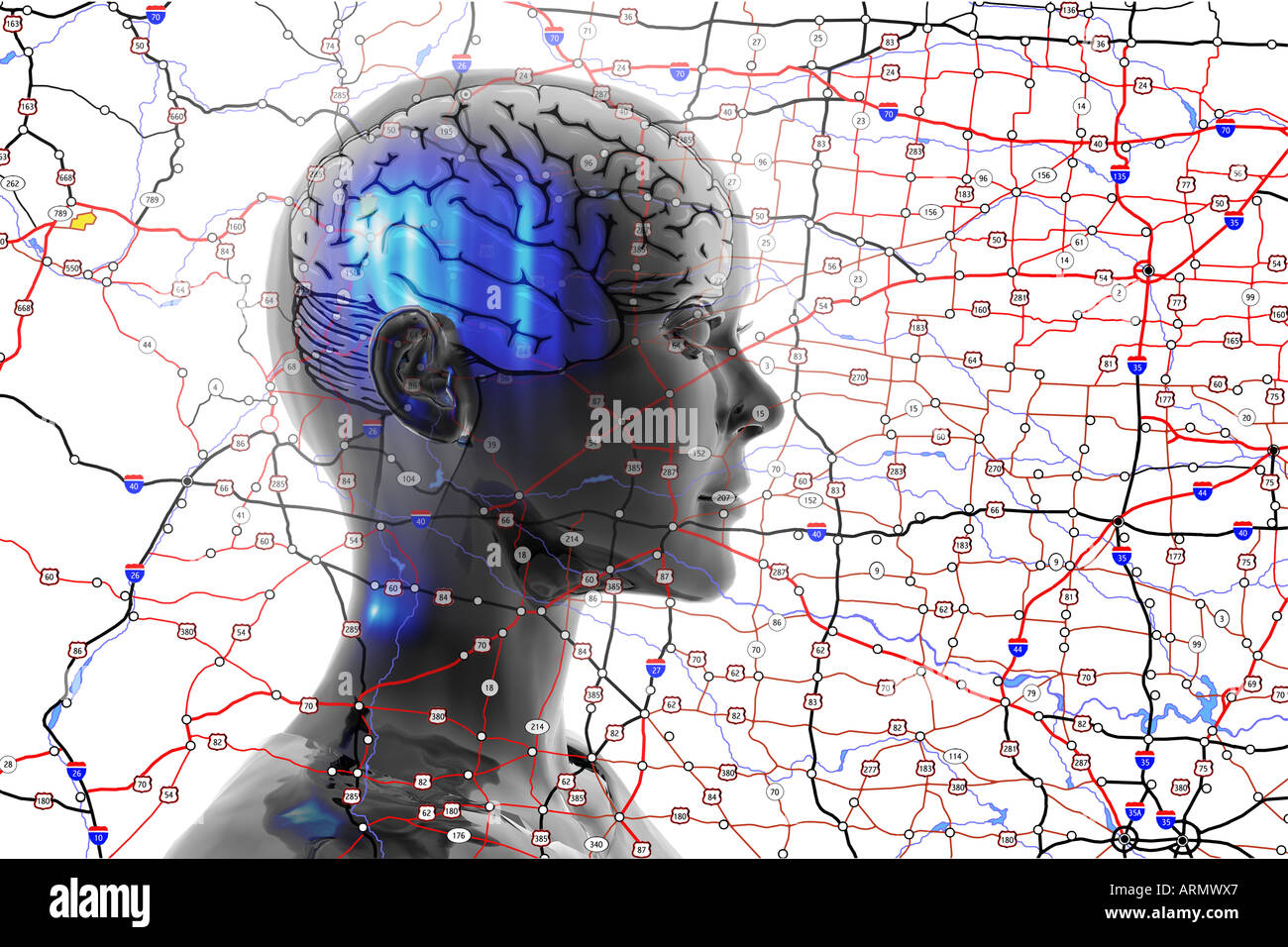 Brain mapping hi-res stock photography and images - Alamy