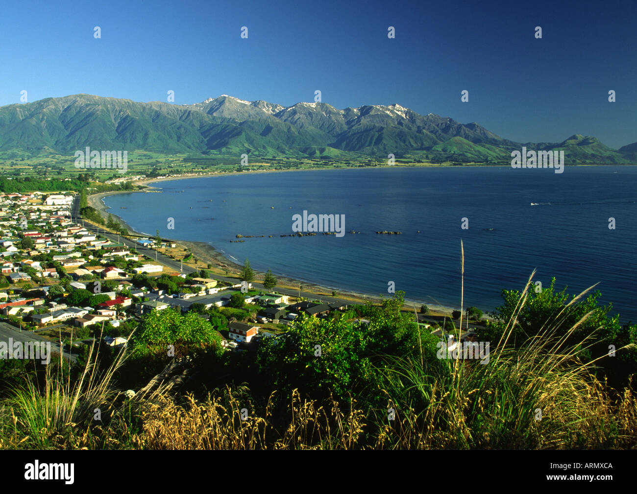 Kaikoura, New Zealand Stock Photo - Alamy