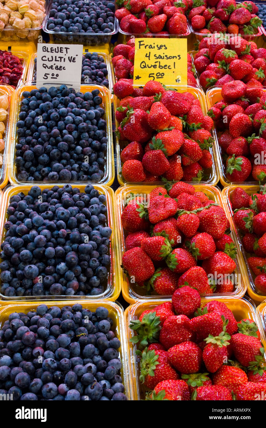 Jean Talon Market, fresh berries on display, Montreal, Quebec, Canada ...