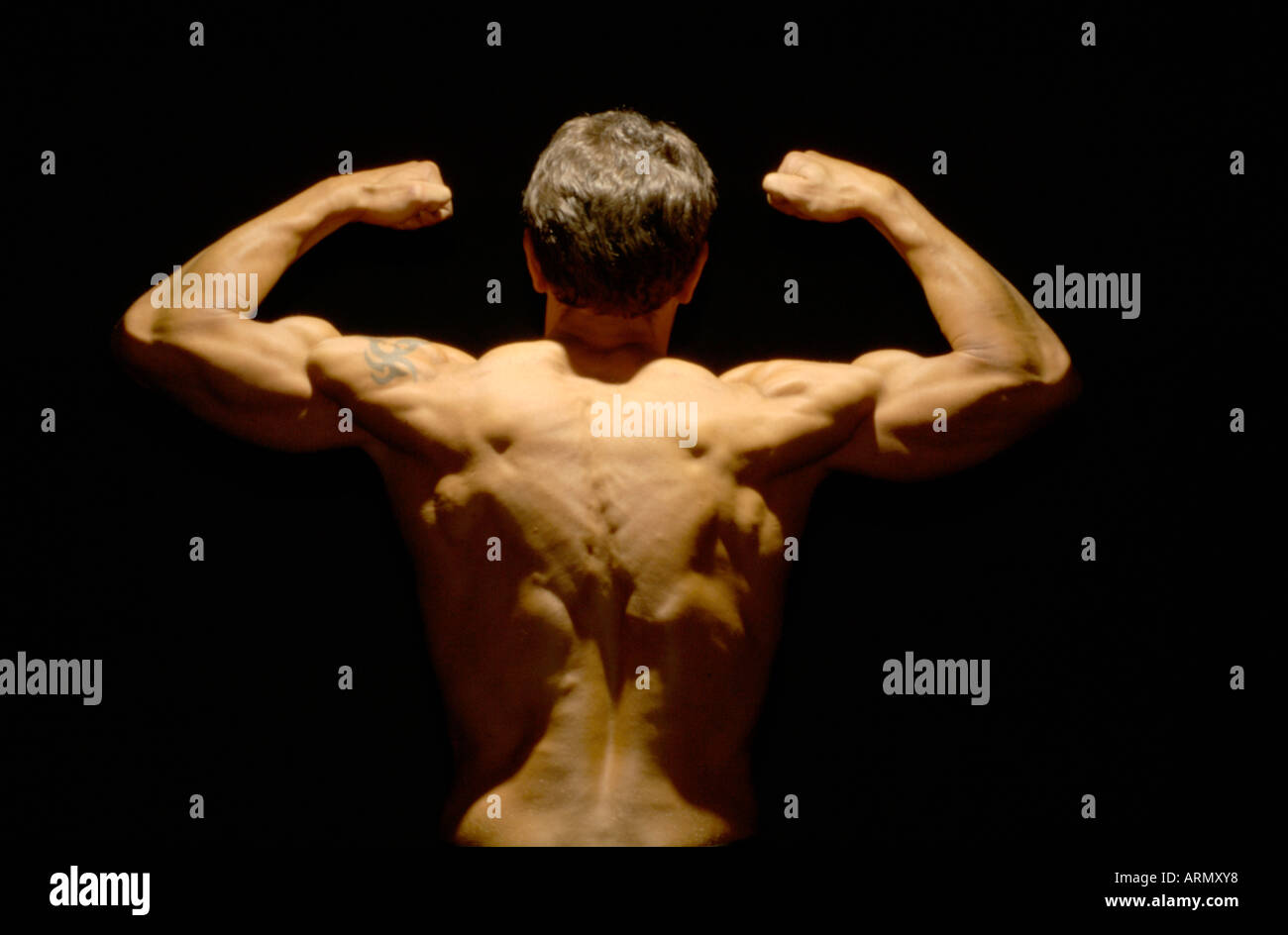 Defined muscle hi-res stock photography and images - Alamy