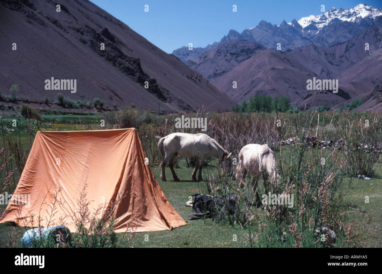 India ladakh camping hi-res stock photography and images - Alamy