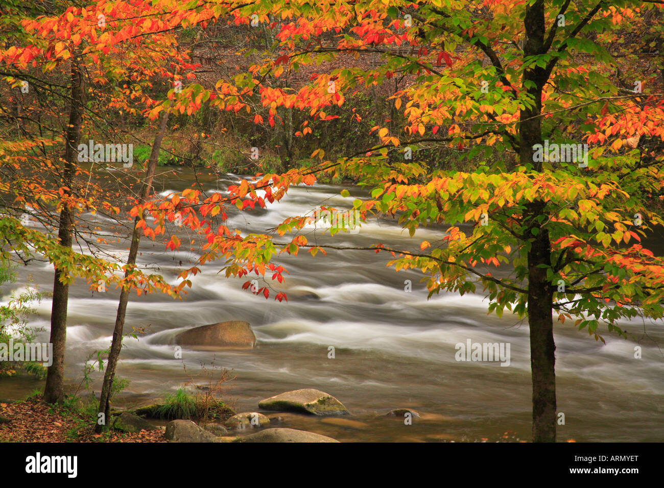 Nantahala River, Nantahala Gorge, North Carolina, USA Stock Photo - Alamy