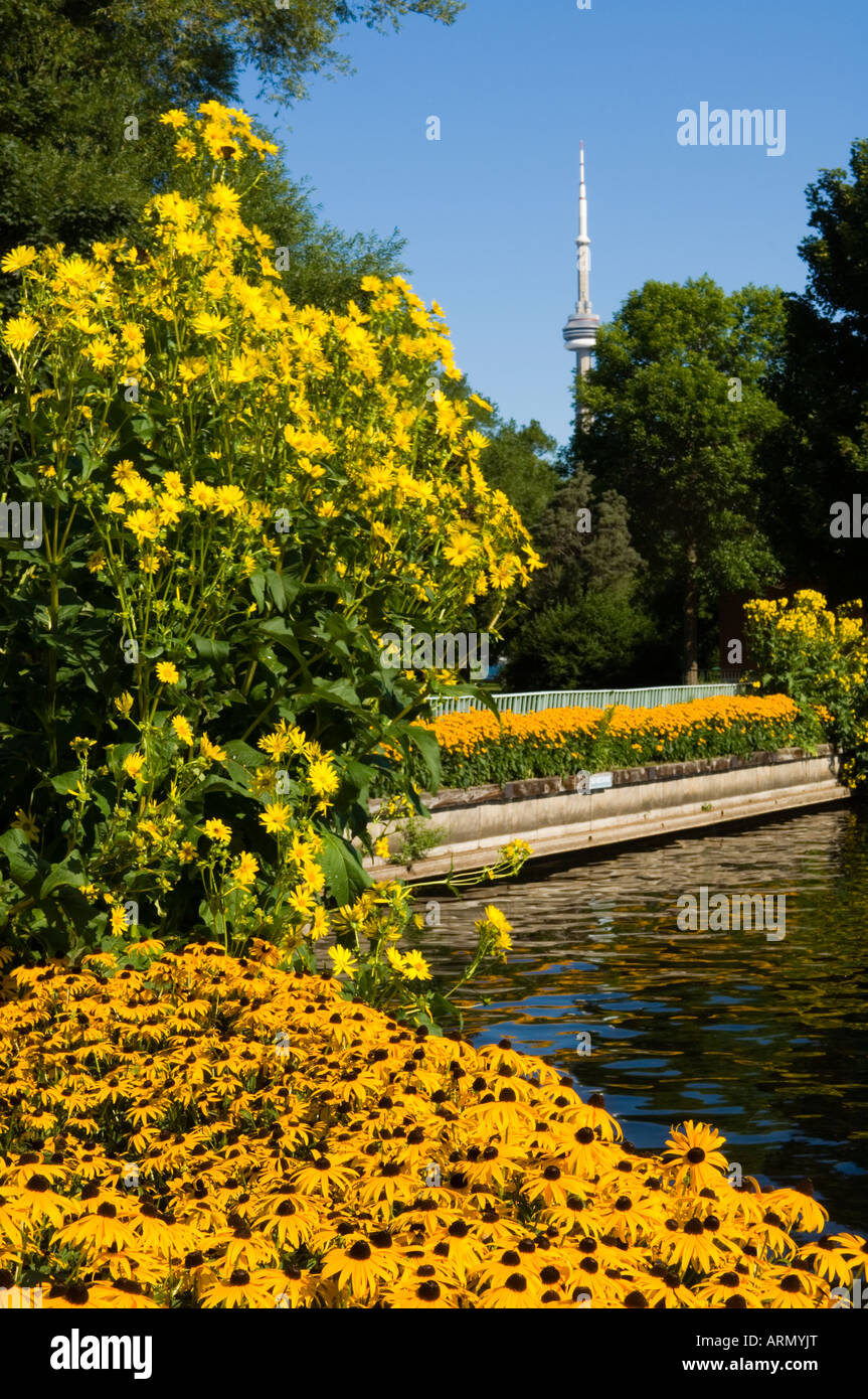 Toronto Islands across Lake Ontario from Toronto, Ontario, Canada Stock ...