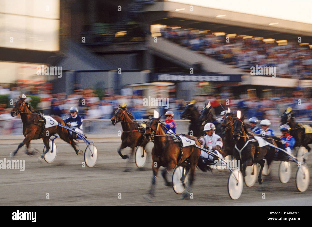 Trotting race harness racing track hi-res stock photography and images ...