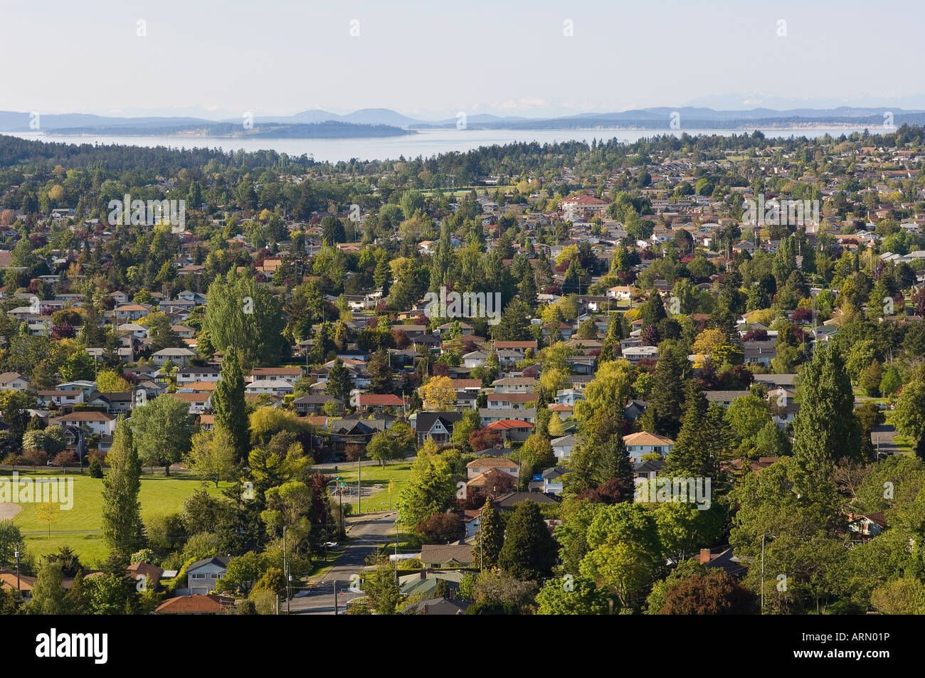 View across residential areas from Mt. Tolmie, Victoria, Vancouver ...