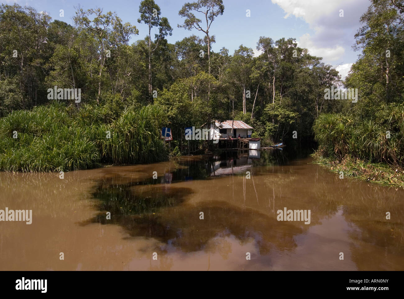 river in Tanjung Puting national park Borneo showing pollution due to ...