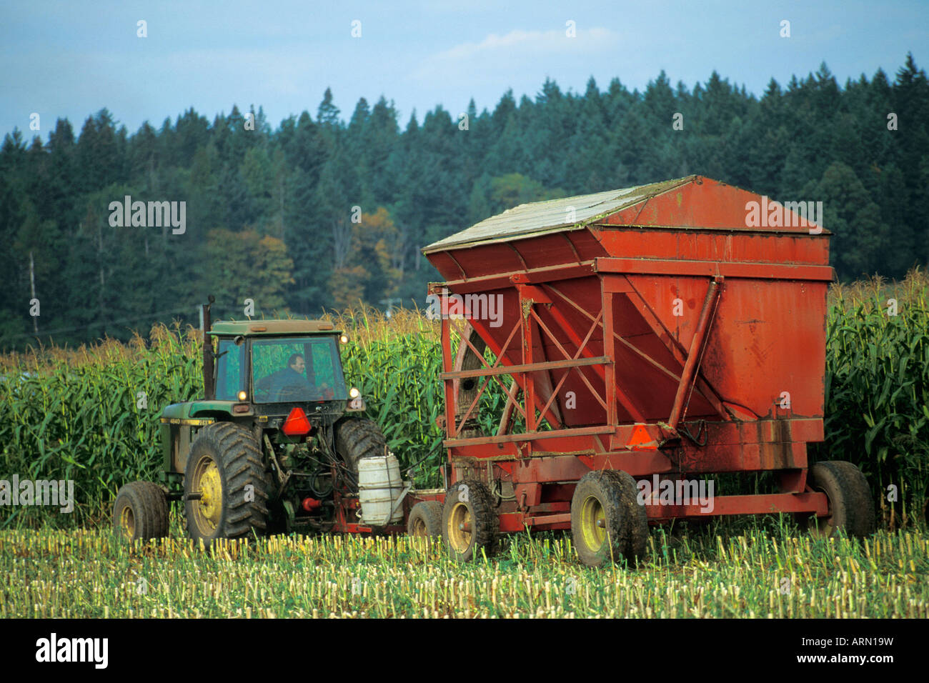Tractor harvests silage corn hi-res stock photography and images - Alamy