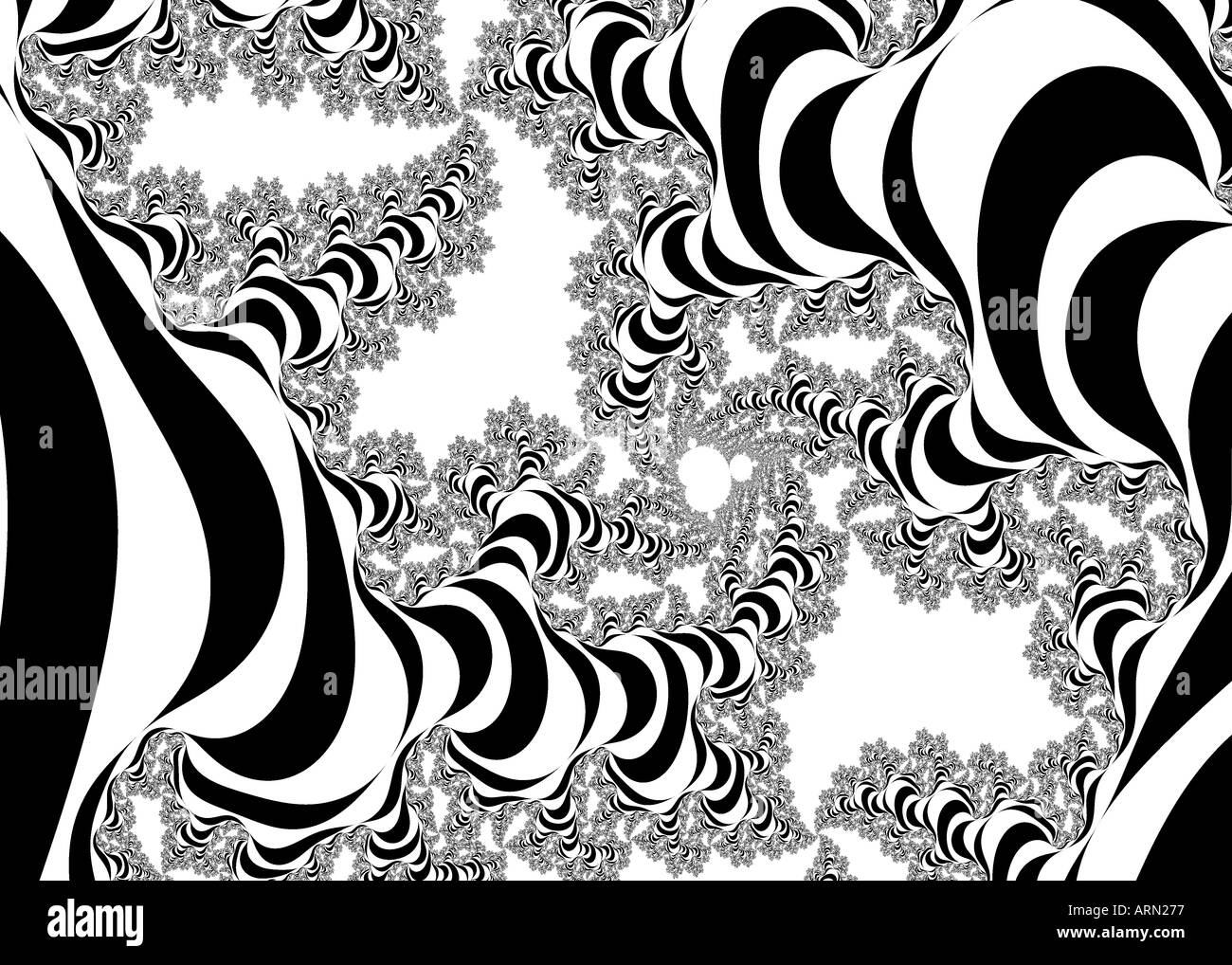 Computer generated black and white fractal image showing a graphical ...