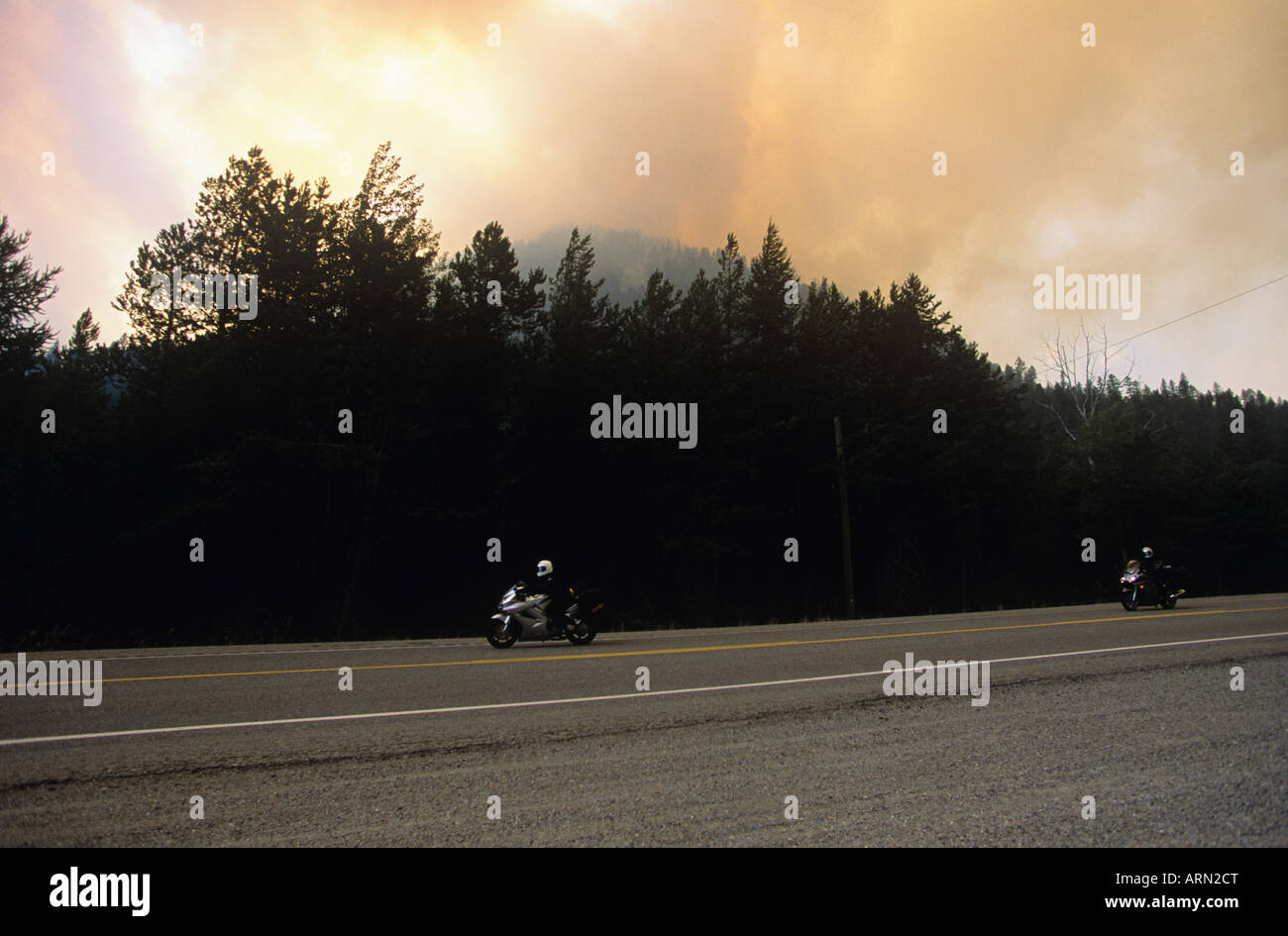 Forest fire, West Kootenays near Cranbrook, British Columbia, Canada ...