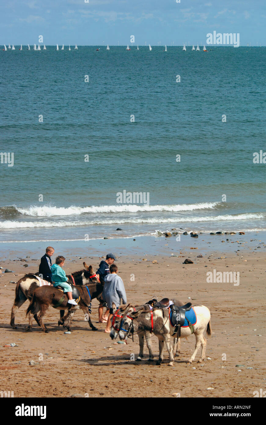 Riding donkeys on beach hi-res stock photography and images - Alamy