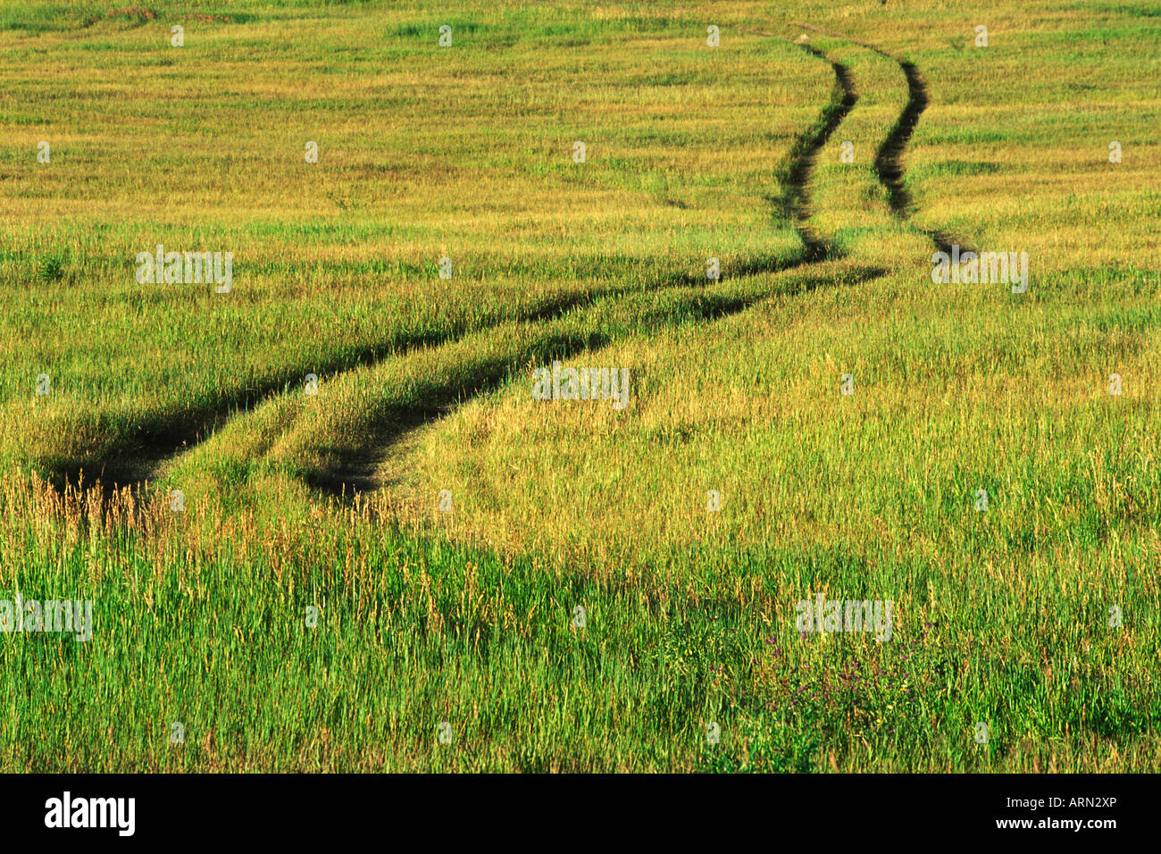 Interior grasslands hi-res stock photography and images - Alamy