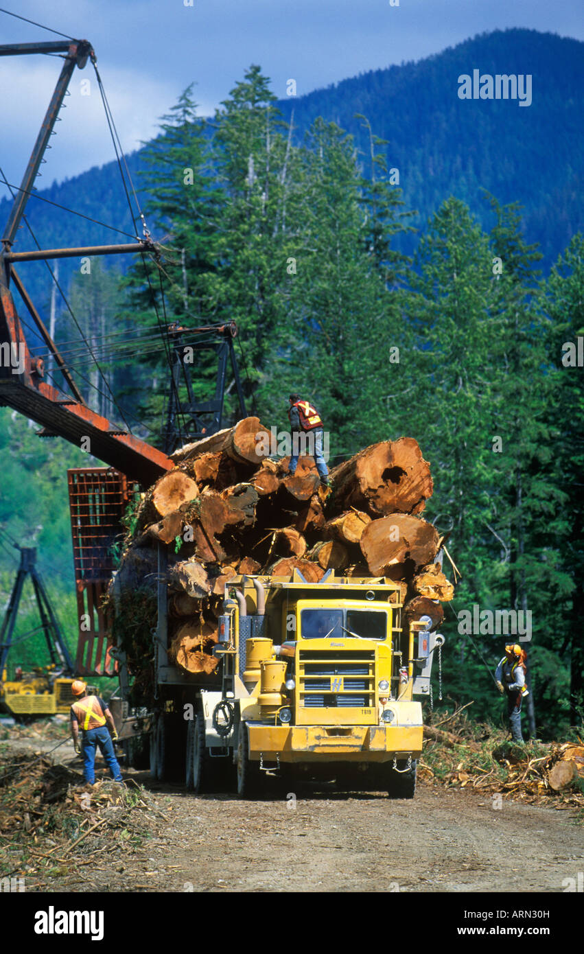 Logging trucks haul cedar above carmanah valley hi-res stock ...