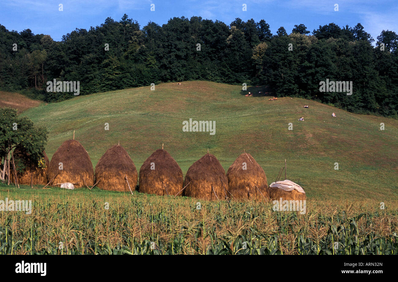 Guca trumpet festival, serbia hi-res stock photography and images - Alamy