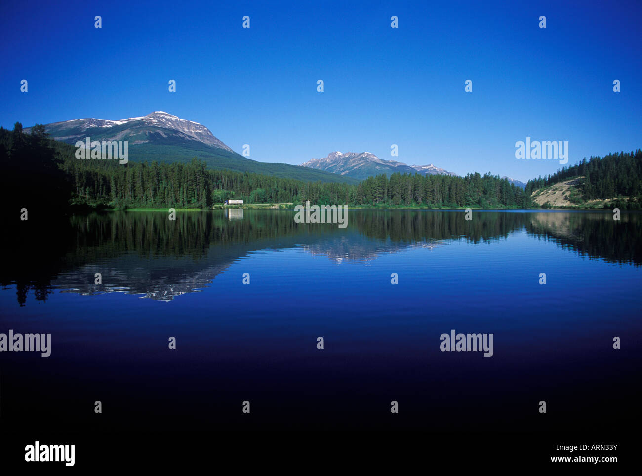 British rail locomotives hi-res stock photography and images - Alamy