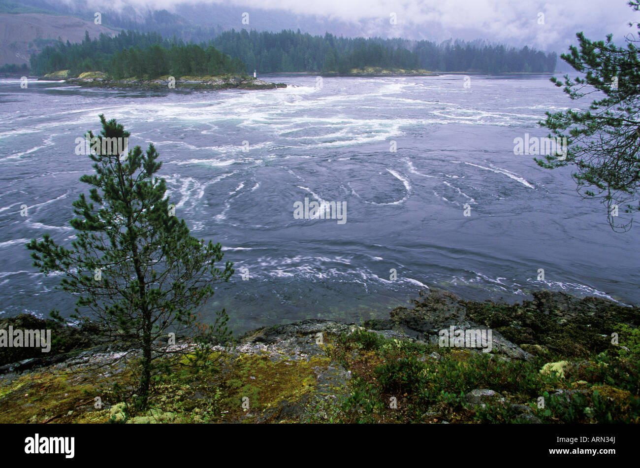 Skookumchuck Narrows Provincial Park near Egmont, Sechelt Peninsula ...