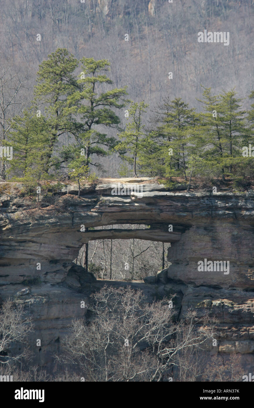 Red river gorge double arch Daniel boone national forest kentucky Stock ...