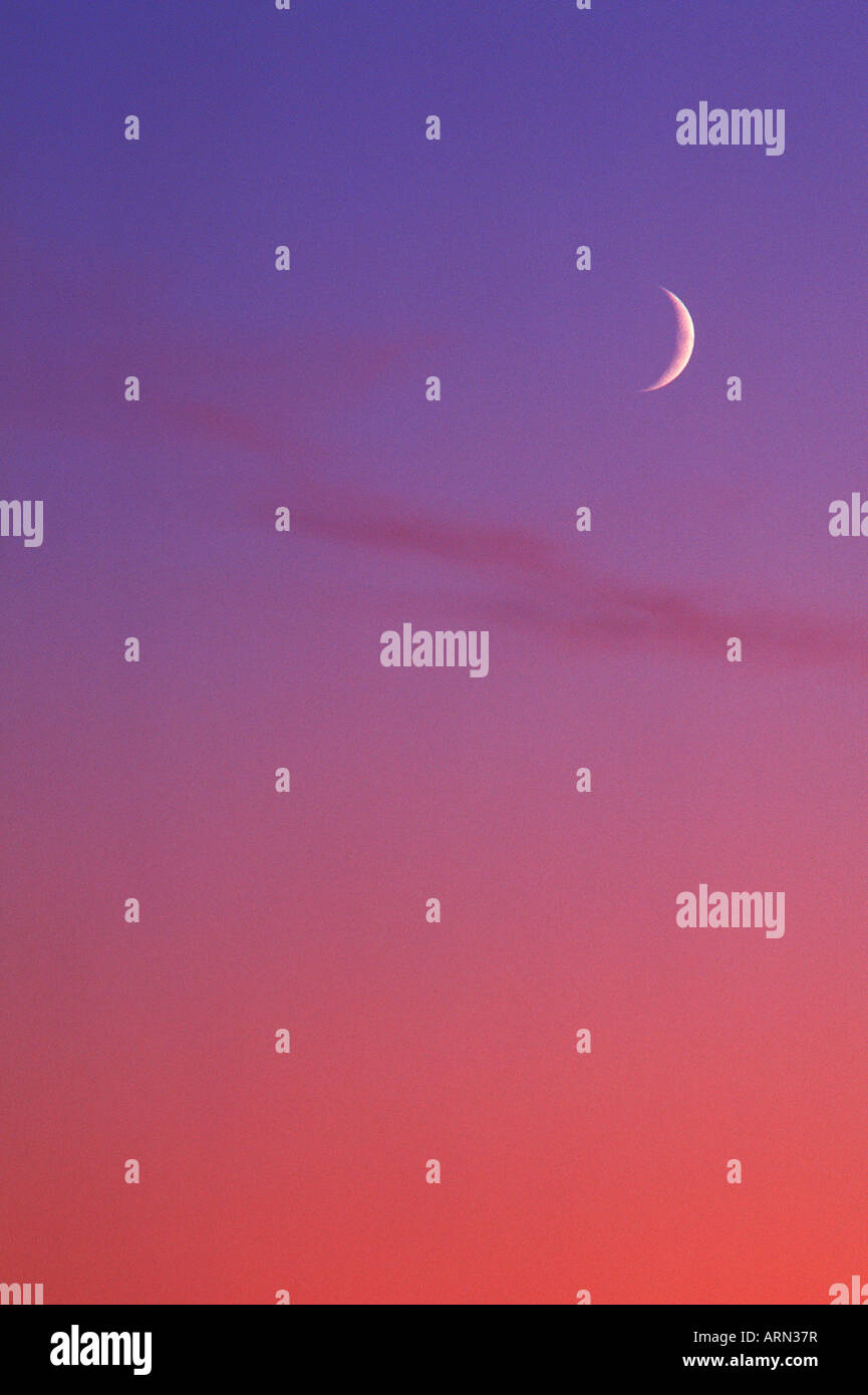 Evening sky in magenta with crescent moon - background, Canada Stock ...
