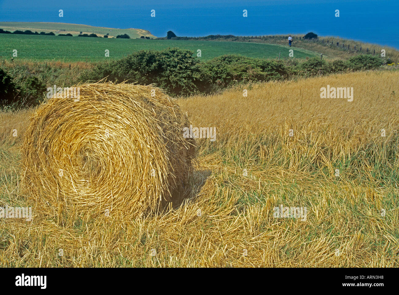 Hay making hi-res stock photography and images - Alamy