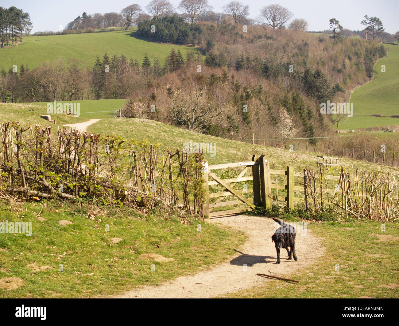Trees grass fence hi-res stock photography and images - Alamy