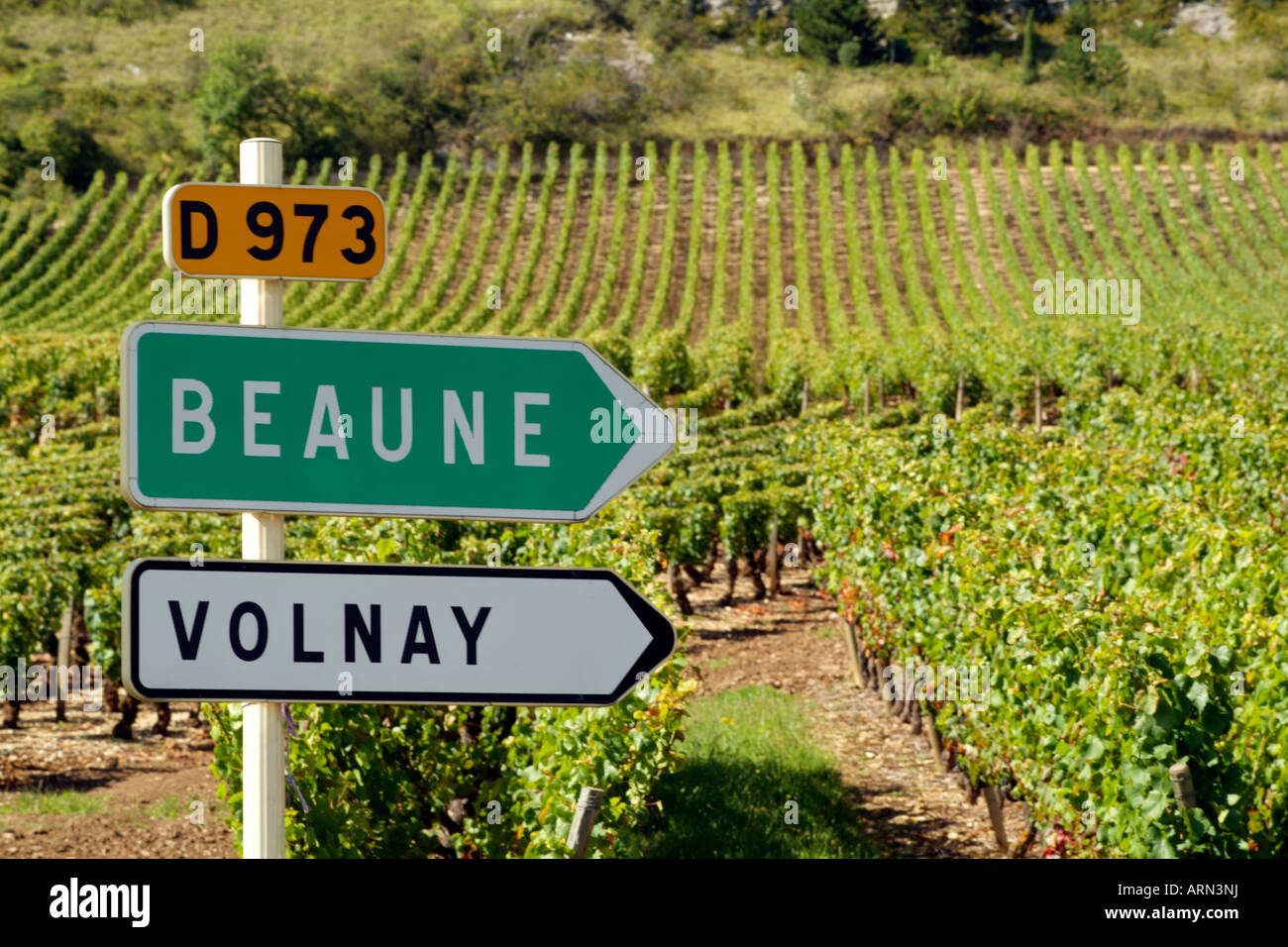French road signs in the Burgundy wine region France Stock Photo - Alamy