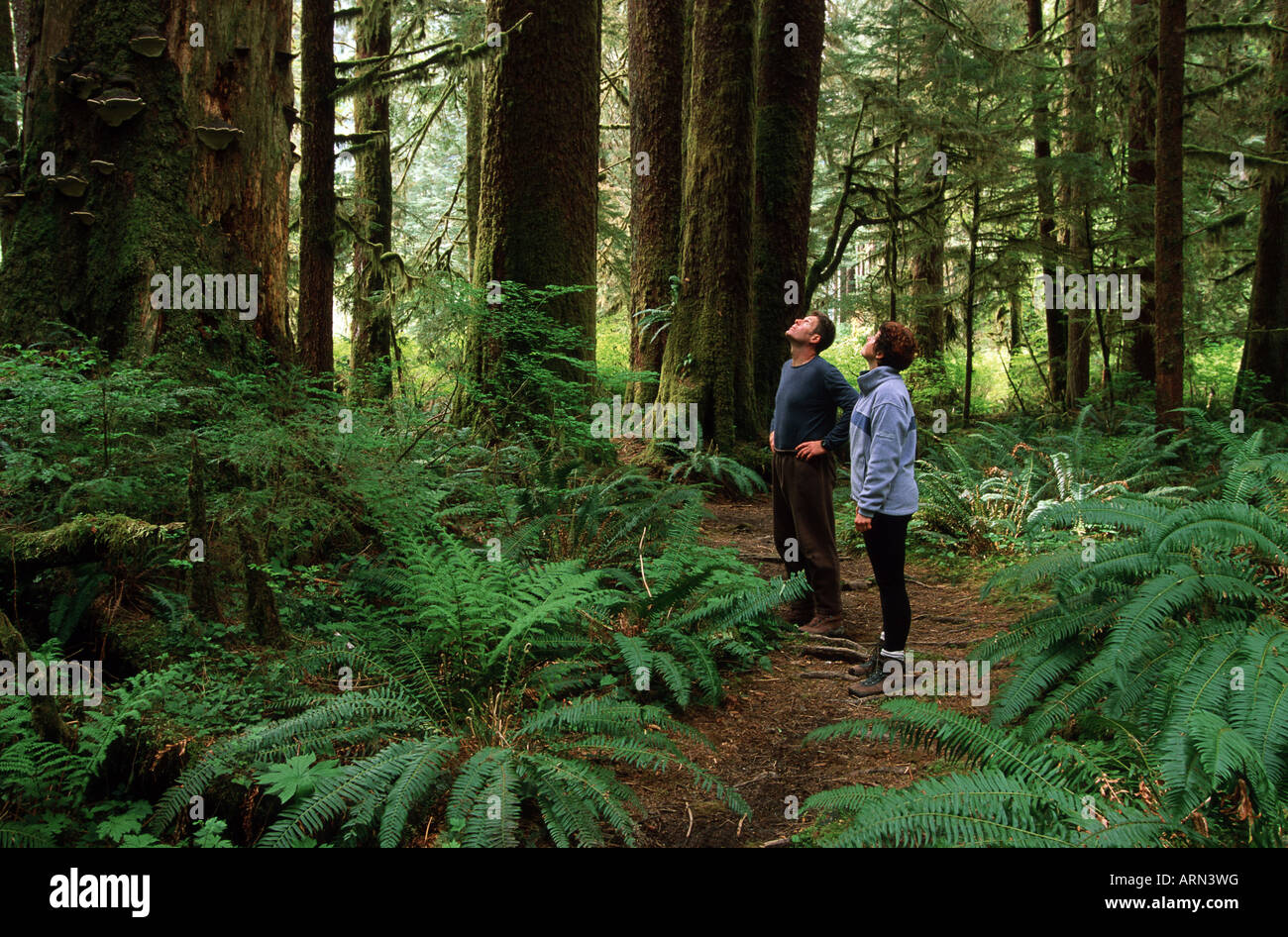 Carmanah valley hi-res stock photography and images - Alamy